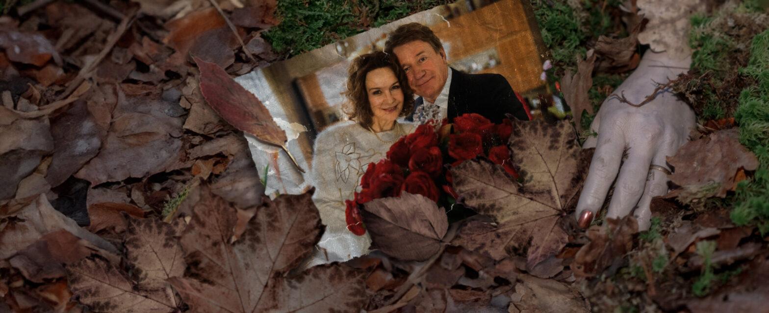 Senator Film Produktion